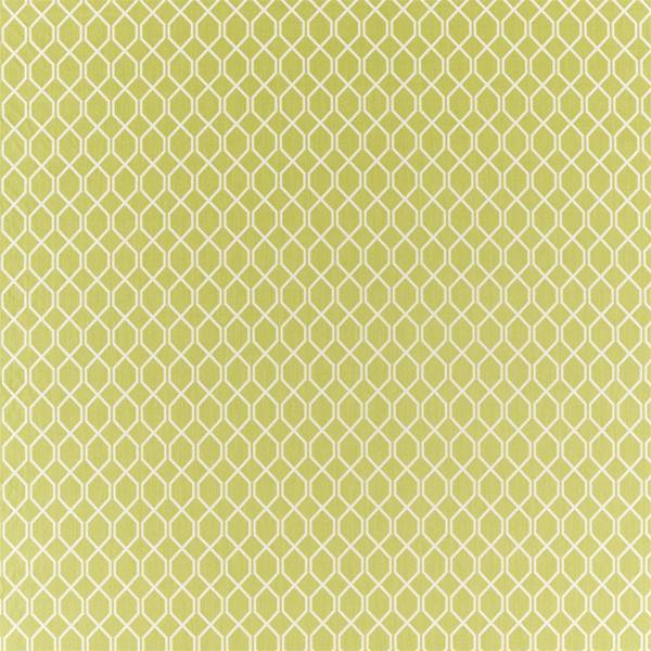 Botanic Trellis Lime – Sheen Upholstery